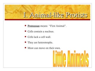 Protist ppt | PPT | Biological Sciences | Science