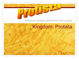 Protist ppt.ppt