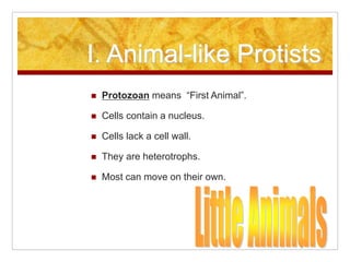 Protist ppt.ppt