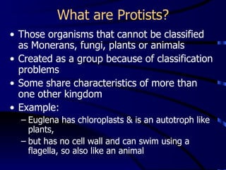 Protists | PPT