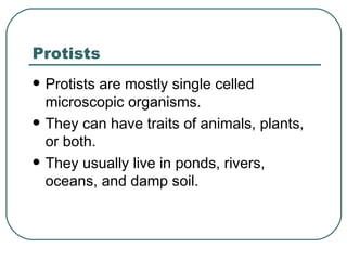 Protists | PPT