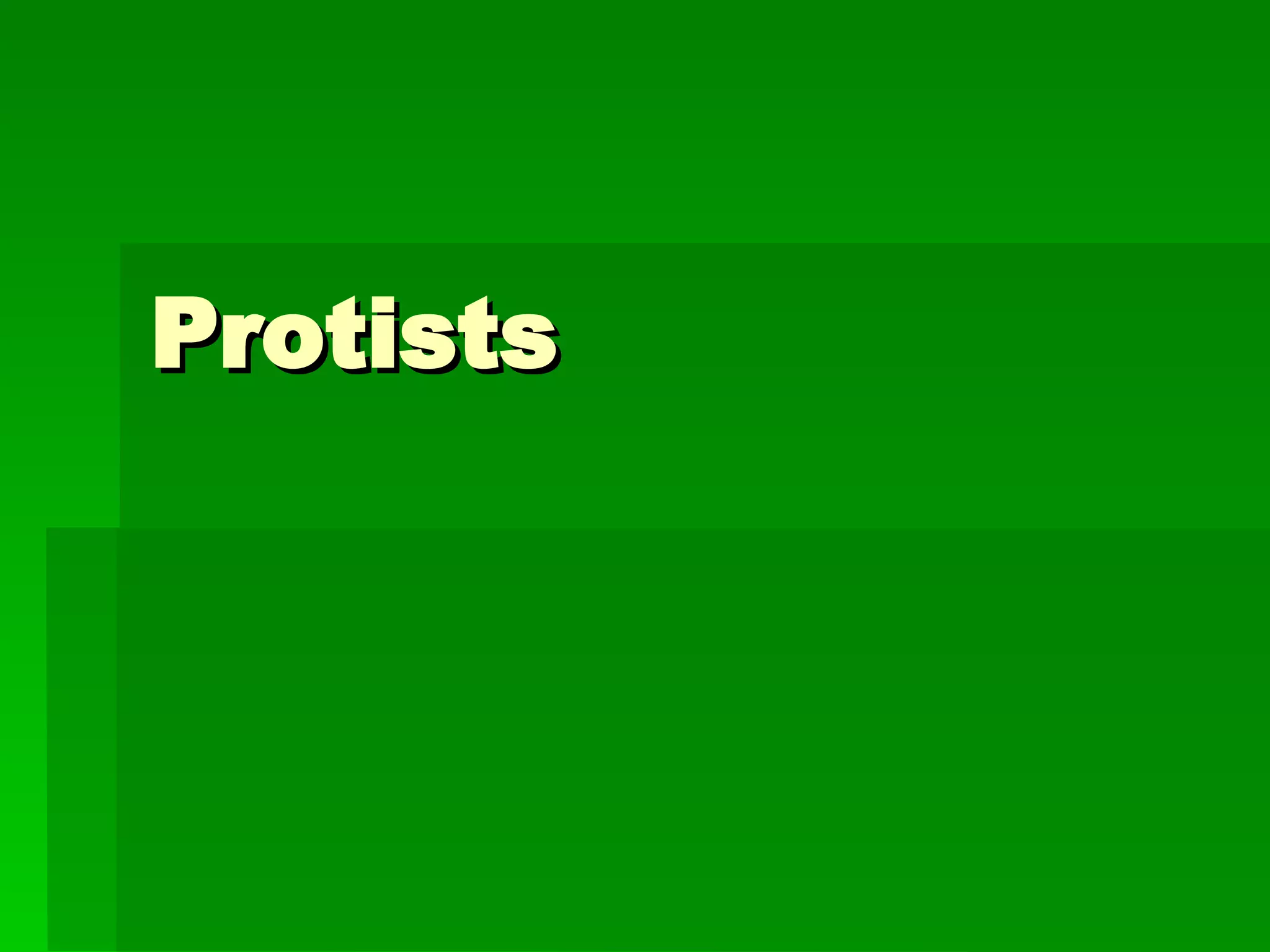 Protists | PPT