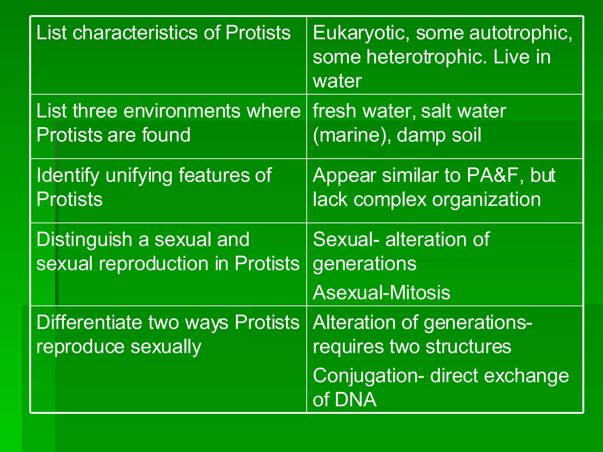 Protists | PPT