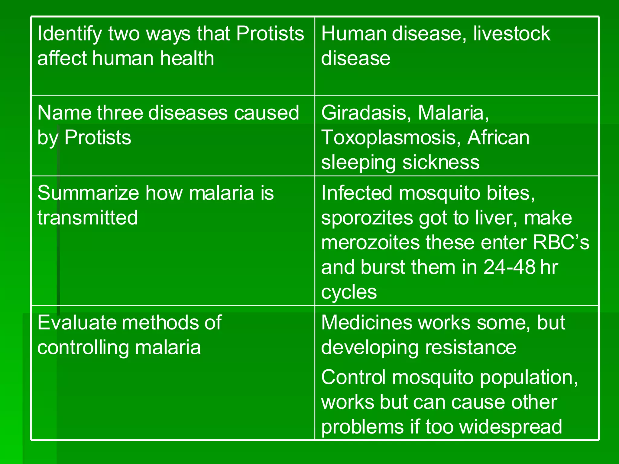 Protists | PPT