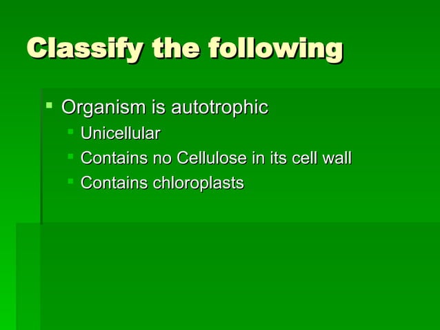 Protists Ppt