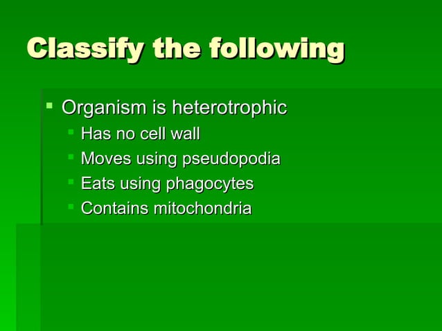 Protists | PPT
