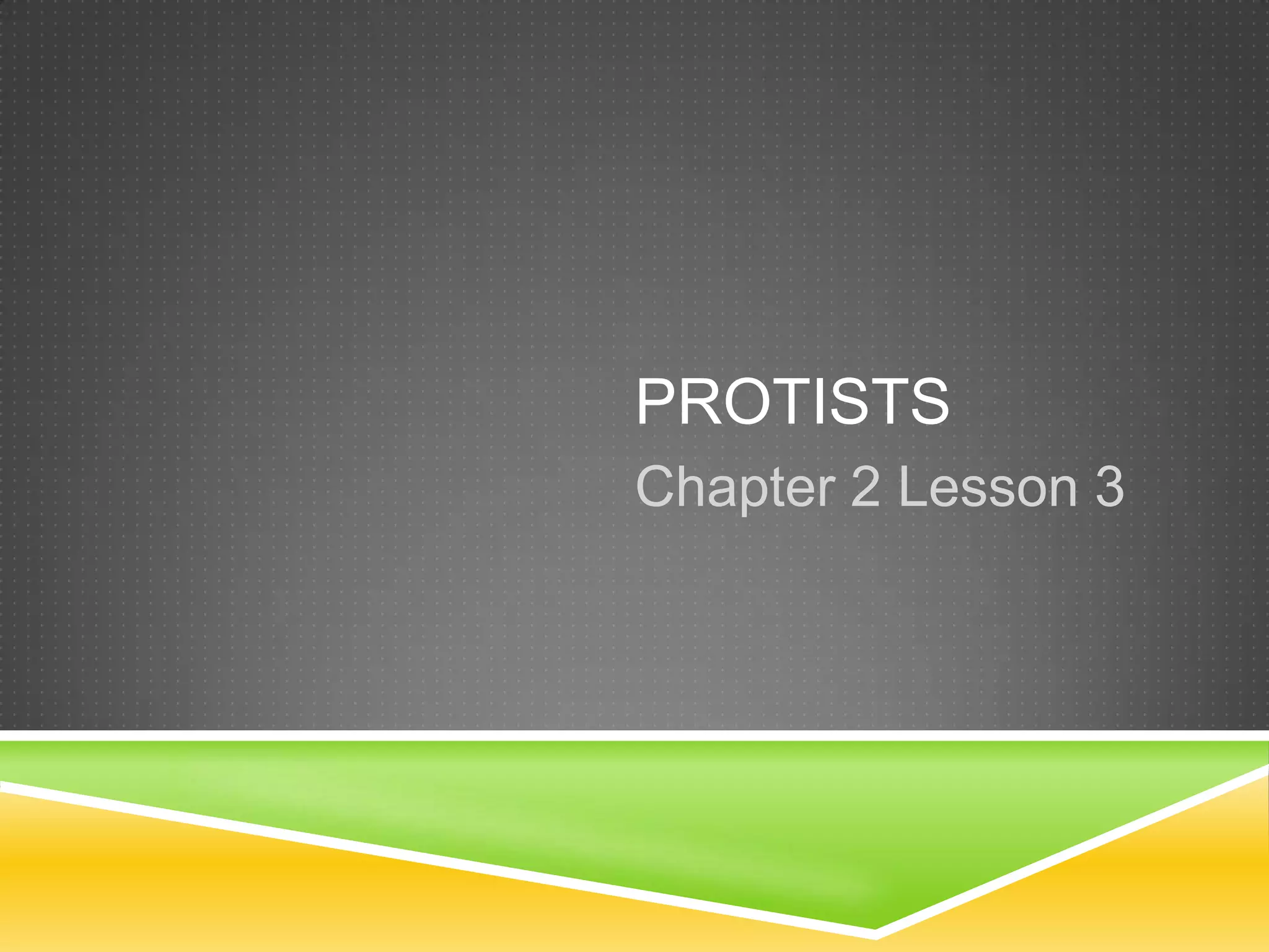 Protists | PPT
