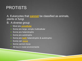 Protists | PPT