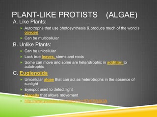 Protists | PPT