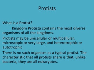 Protists | PPTX