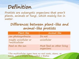 Protists | PPTX