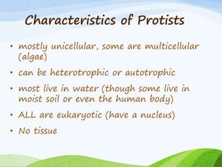 Protists | PPTX