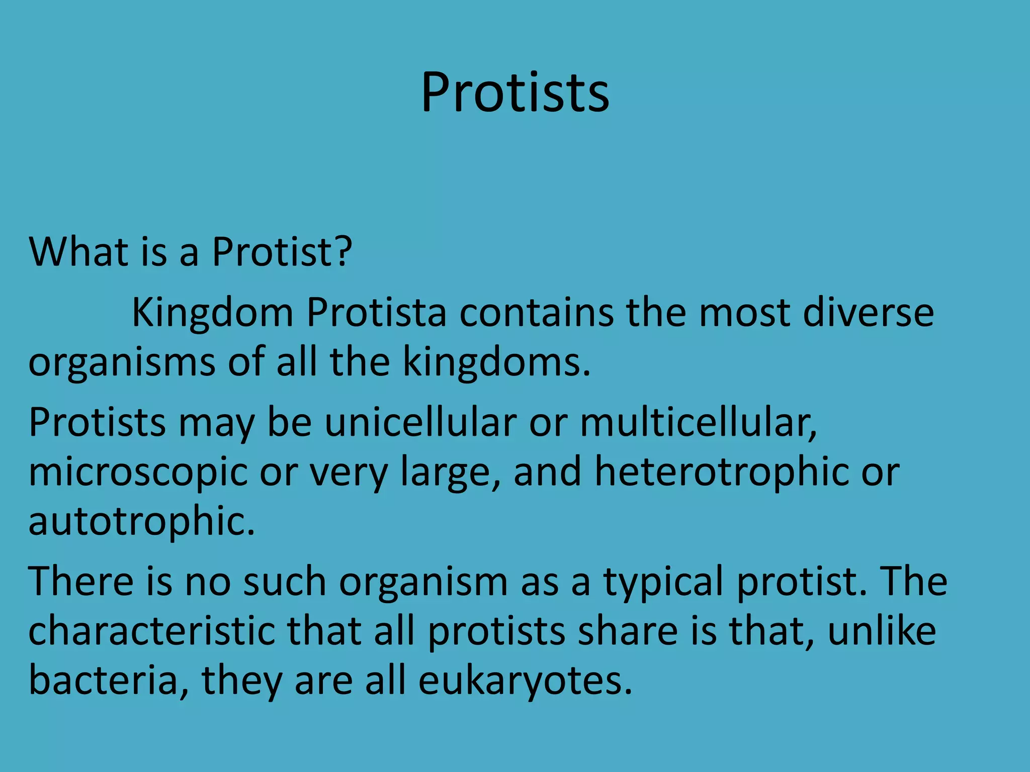 Protists | PPTX