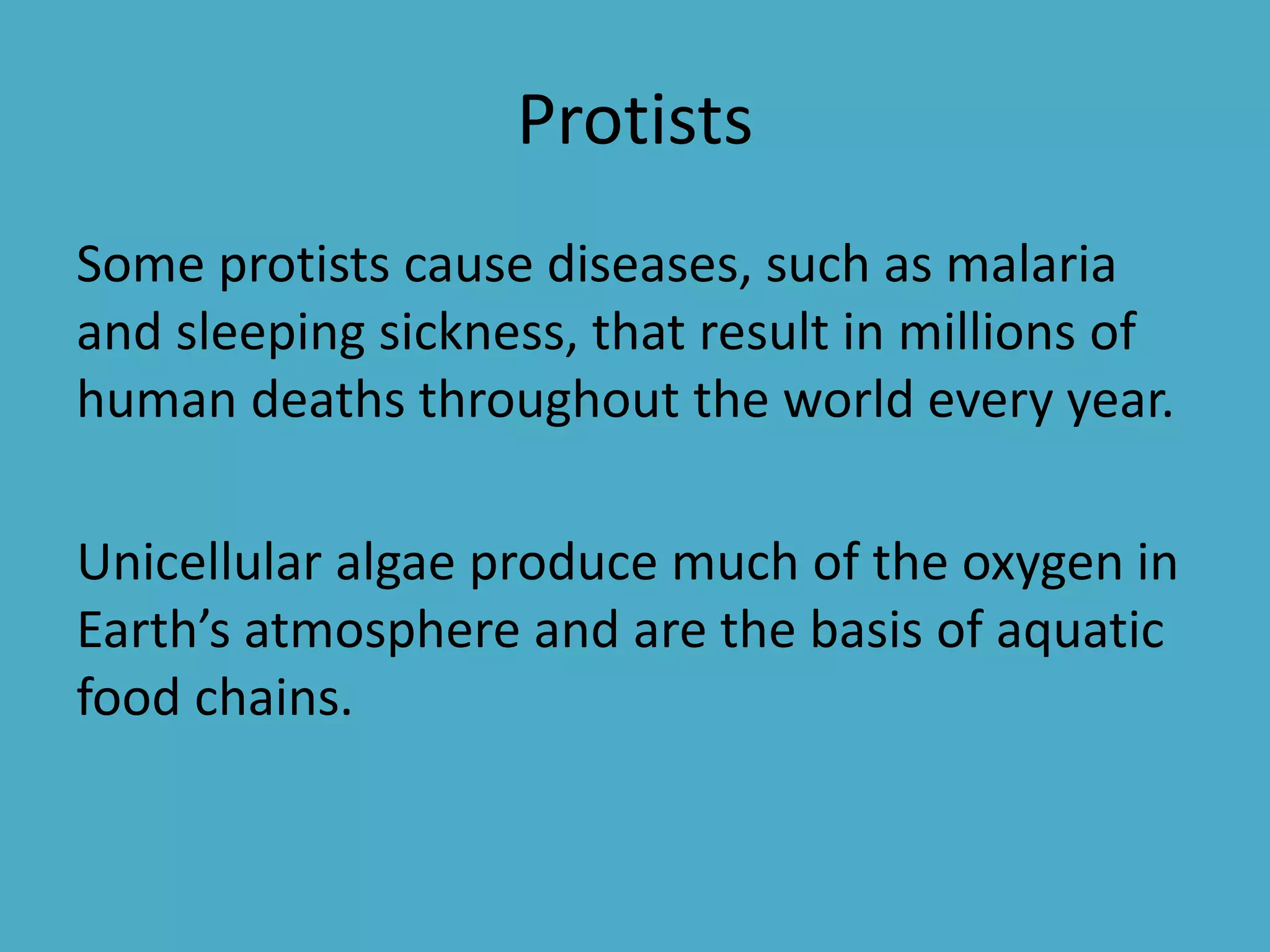 Protists | PPTX