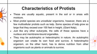 Protists Porpeorpeldbdpeororjrepeooo.pdf