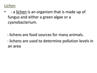 Protists science grade 7 | PPTX