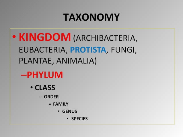Protists biol 11 | PPT Protists biol 11 | PPT