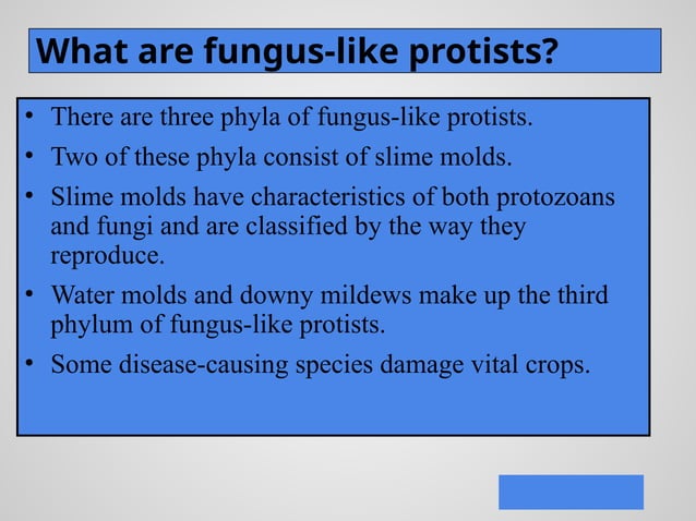 Protista and Fungi ppt ppt ppt ppt .ppt.pptx