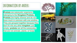 Protists kingdom | PPTX