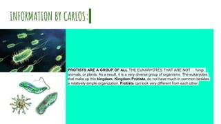 Protists kingdom | PPT