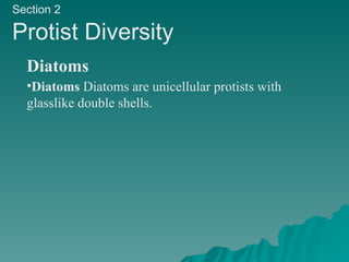 Protistsstudent | PPT