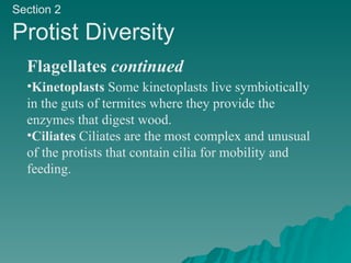 Protistsstudent | PPT