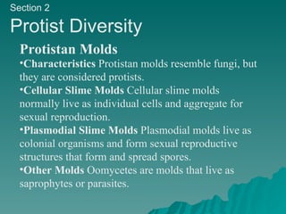 Protistsstudent | PPT