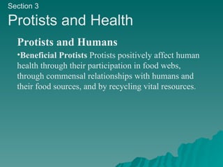 Protistsstudent | PPT