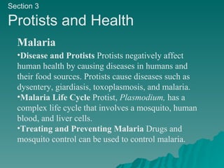 Protistsstudent | PPT