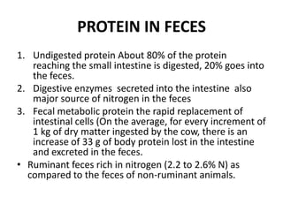 Protein Metabolism (Animal Nutrition) | PPTX | Chemistry | Science