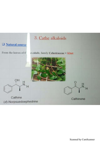 Proto alkaloids | PDF
