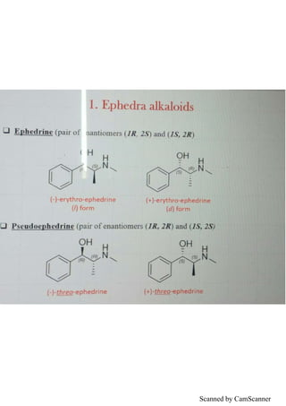 Proto alkaloids | PDF