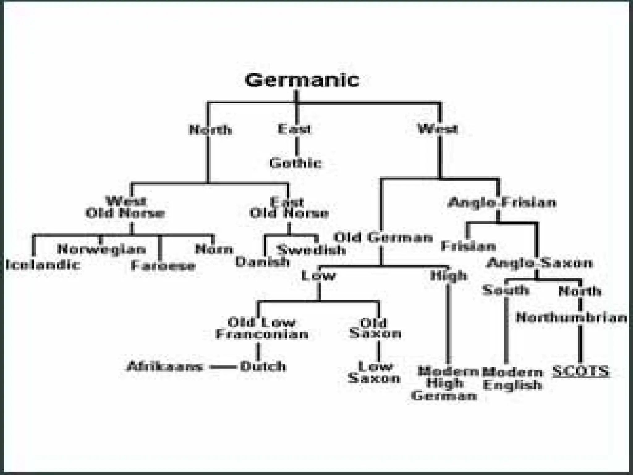 Proto-Germanic Languages - History of English Language | PPT