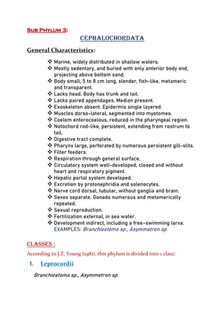 Protochordata by Tiasha De (University of Calcutta) | PDF