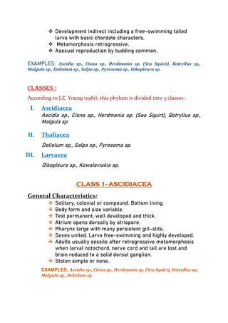 Protochordata by Tiasha De (University of Calcutta) | PDF