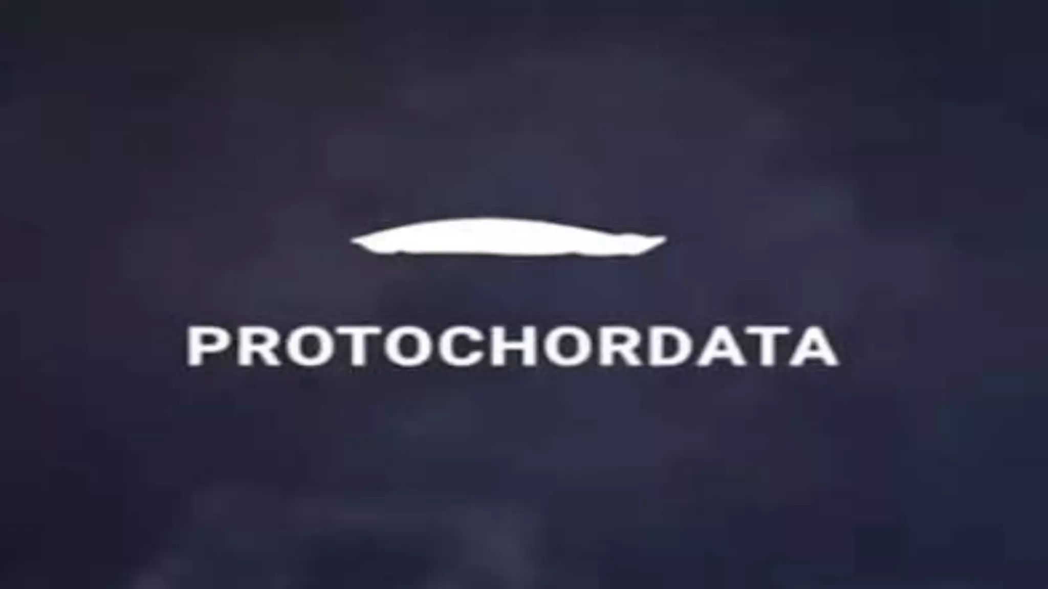 PROTOCHORDATA | PPTX