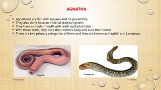 Protochordates and Vertebrates: Characters.pptx