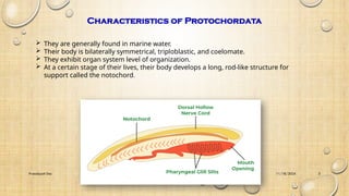 Protochordates and Vertebrates: Characters.pptx