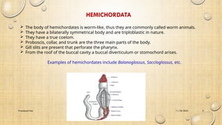 Protochordates and Vertebrates: Characters.pptx
