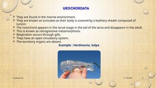 Protochordates and Vertebrates: Characters.pptx