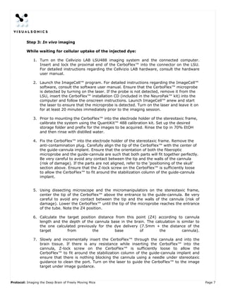 Protocol: Imaging the Deep Brain of Freely Moving Mice | PDF