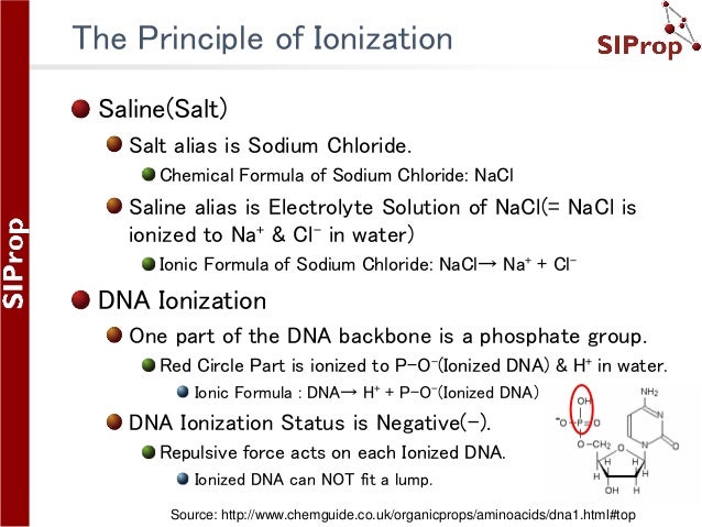 Protocol of the DNA Extraction in Kitchen