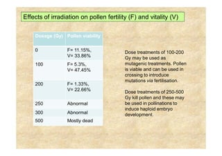 Protocol for crossing barley pollen irradiation 2 | PDF