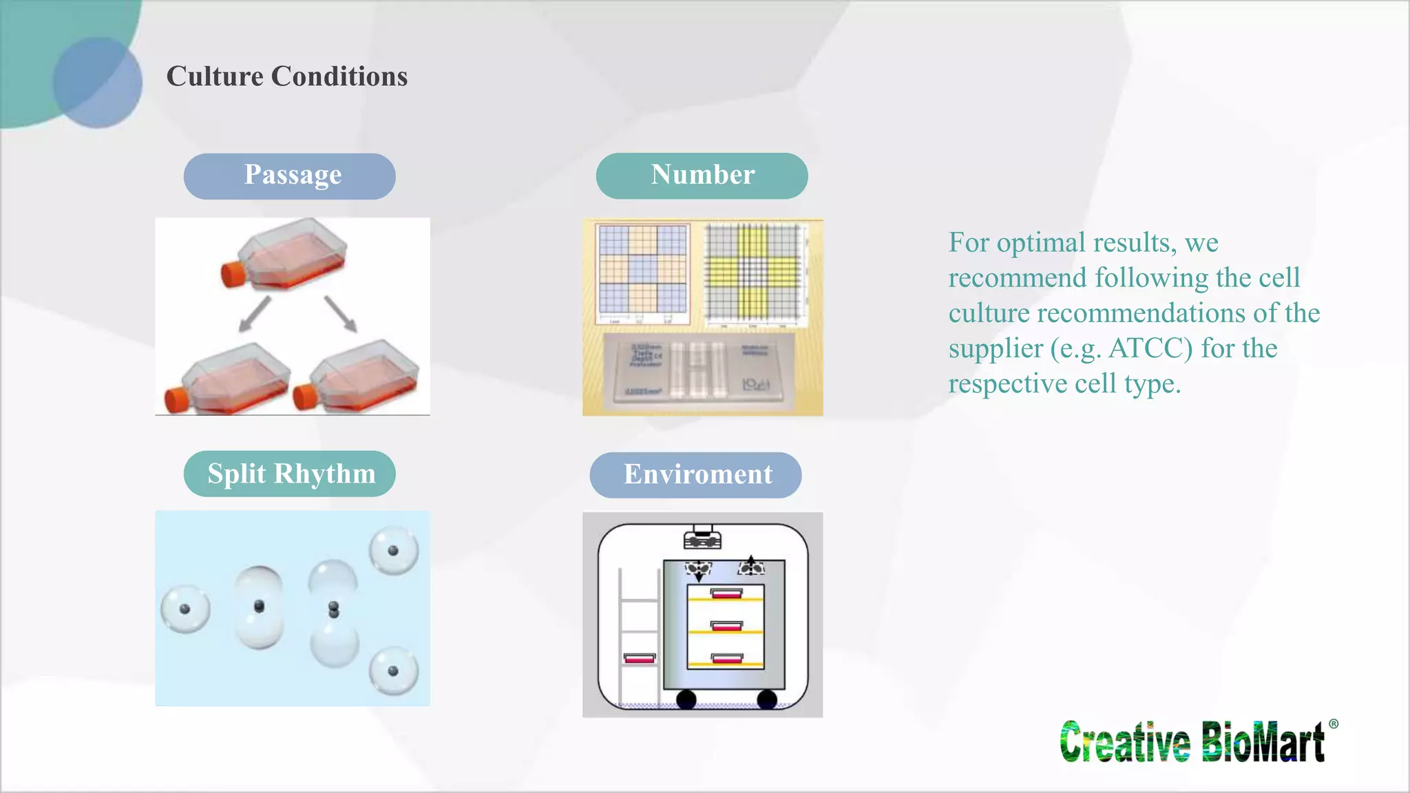 The Protocol for the Generation of Stable Cell Lines | PPTX