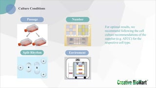 The Protocol for the Generation of Stable Cell Lines | PPTX