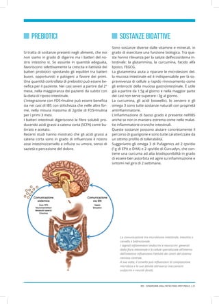 Protocollo ibs stampa | PDF