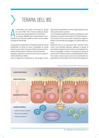 Protocollo ibs stampa | PDF