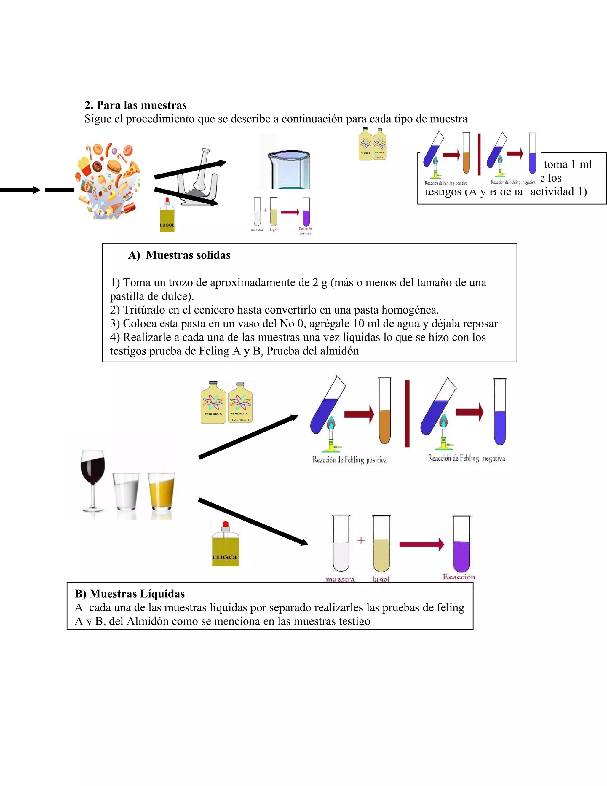 Protocolo actividad-experimental-8-identificación-de-nutrimentos ...