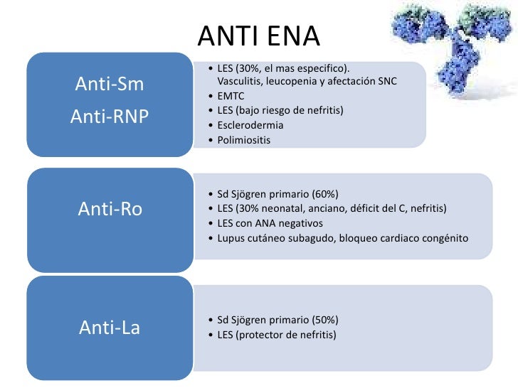Protocolo de estudio inmunológico