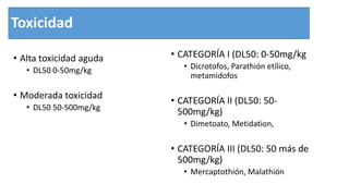 Protocolo de intoxicaciones por órganos fosforados | PPTX
